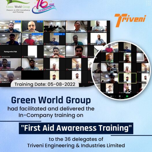 Working at Height In-Company Training | Carpi Tech, India