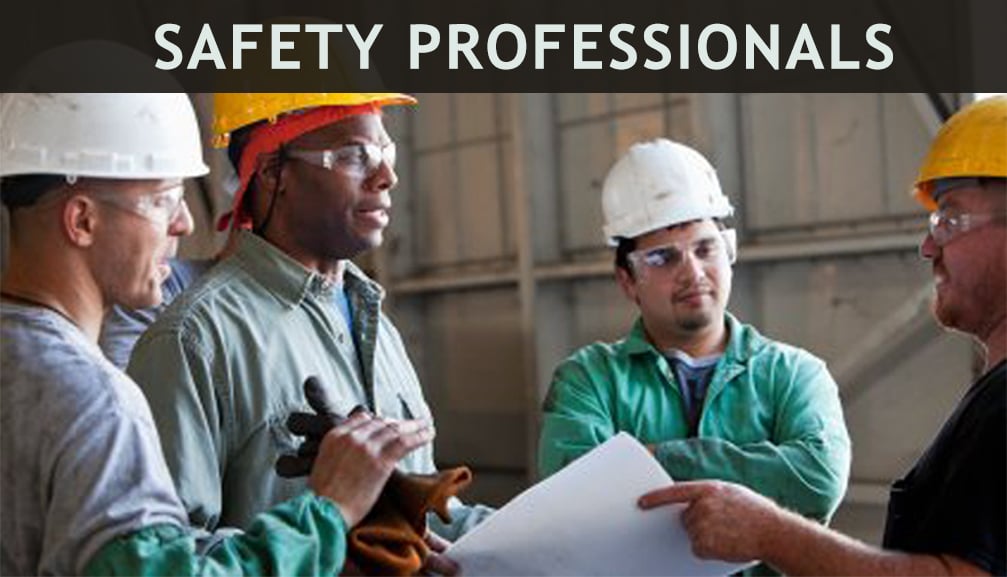 safety-profe - GREEN WORLD GROUP INDIA | Nebosh Course | Safety ...